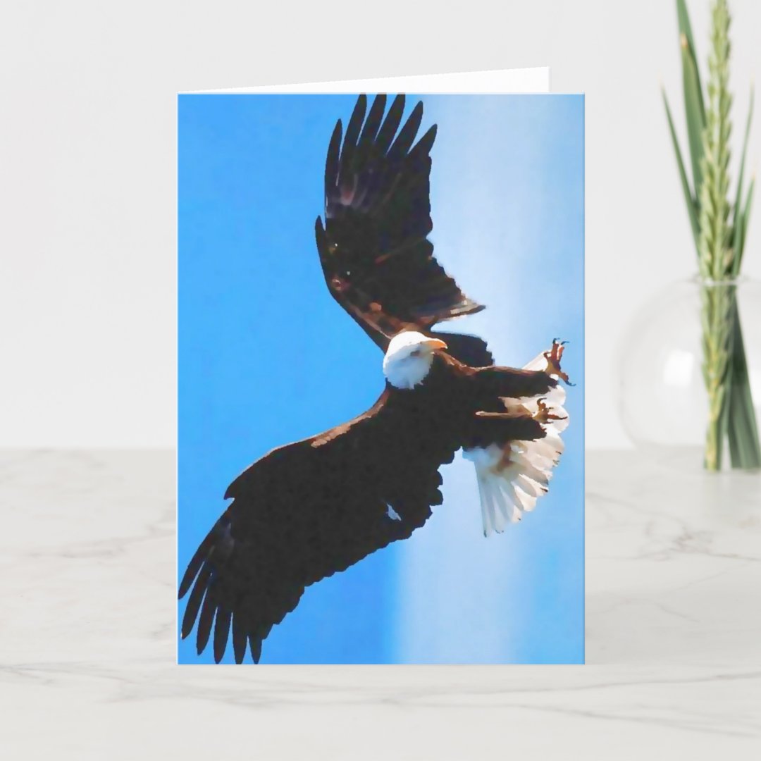 Bald American Eagle Card | Zazzle
