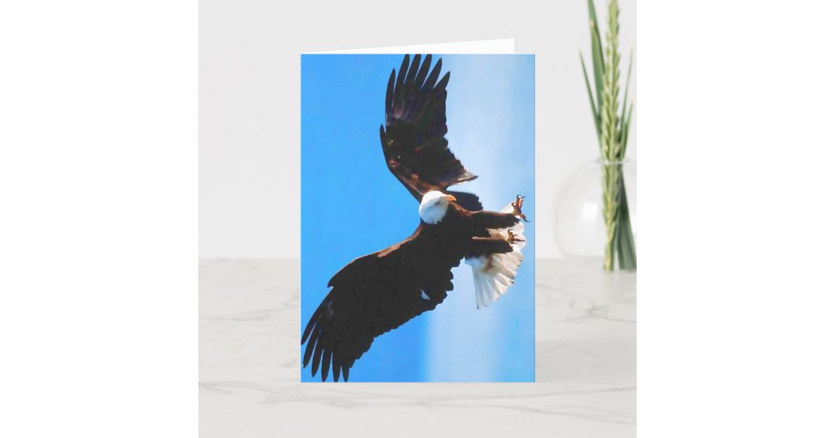 Bald American Eagle Card | Zazzle