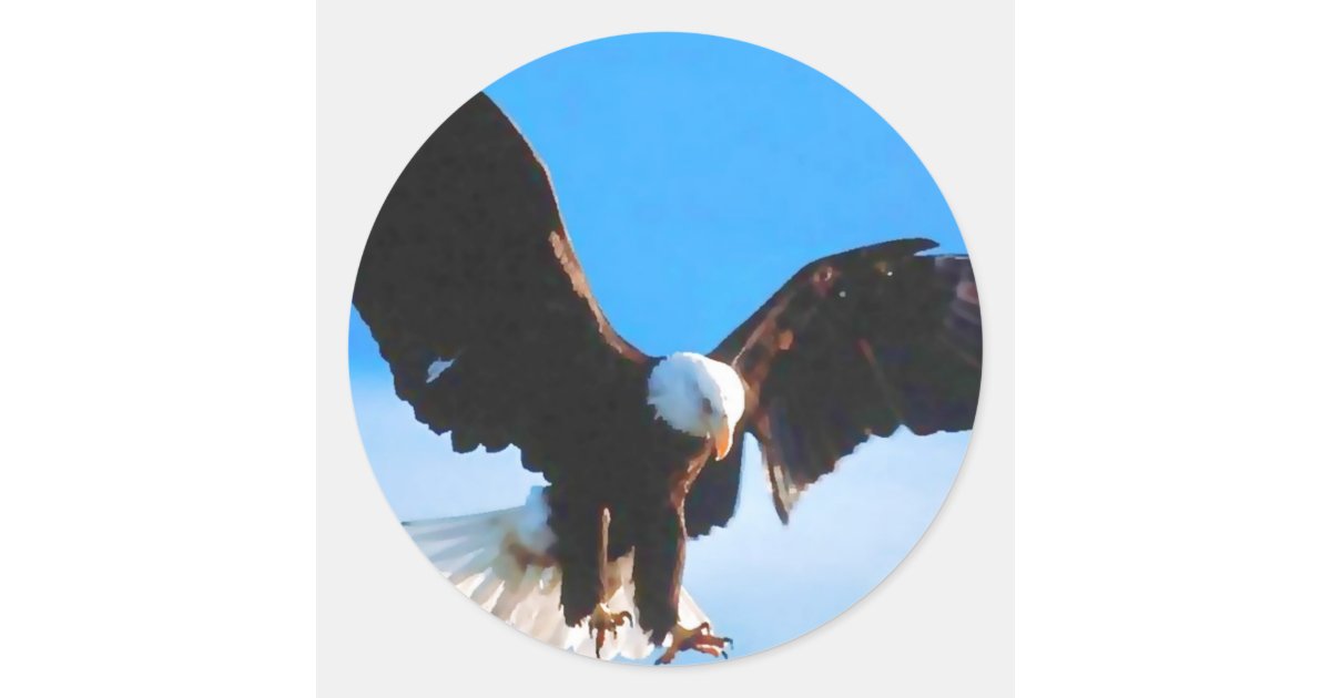 Bald American Eagle Classic Round Sticker | Zazzle