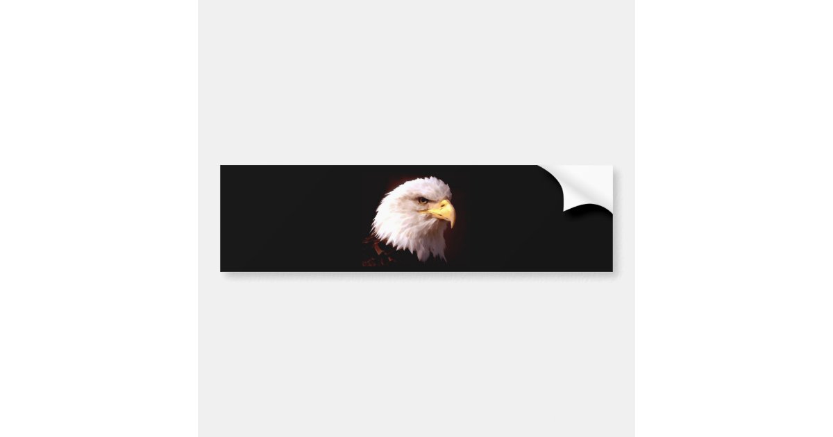 Bald Eagle American Eagle Bumper Sticker | Zazzle