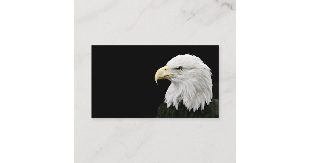 Bald Eagle business card | Zazzle