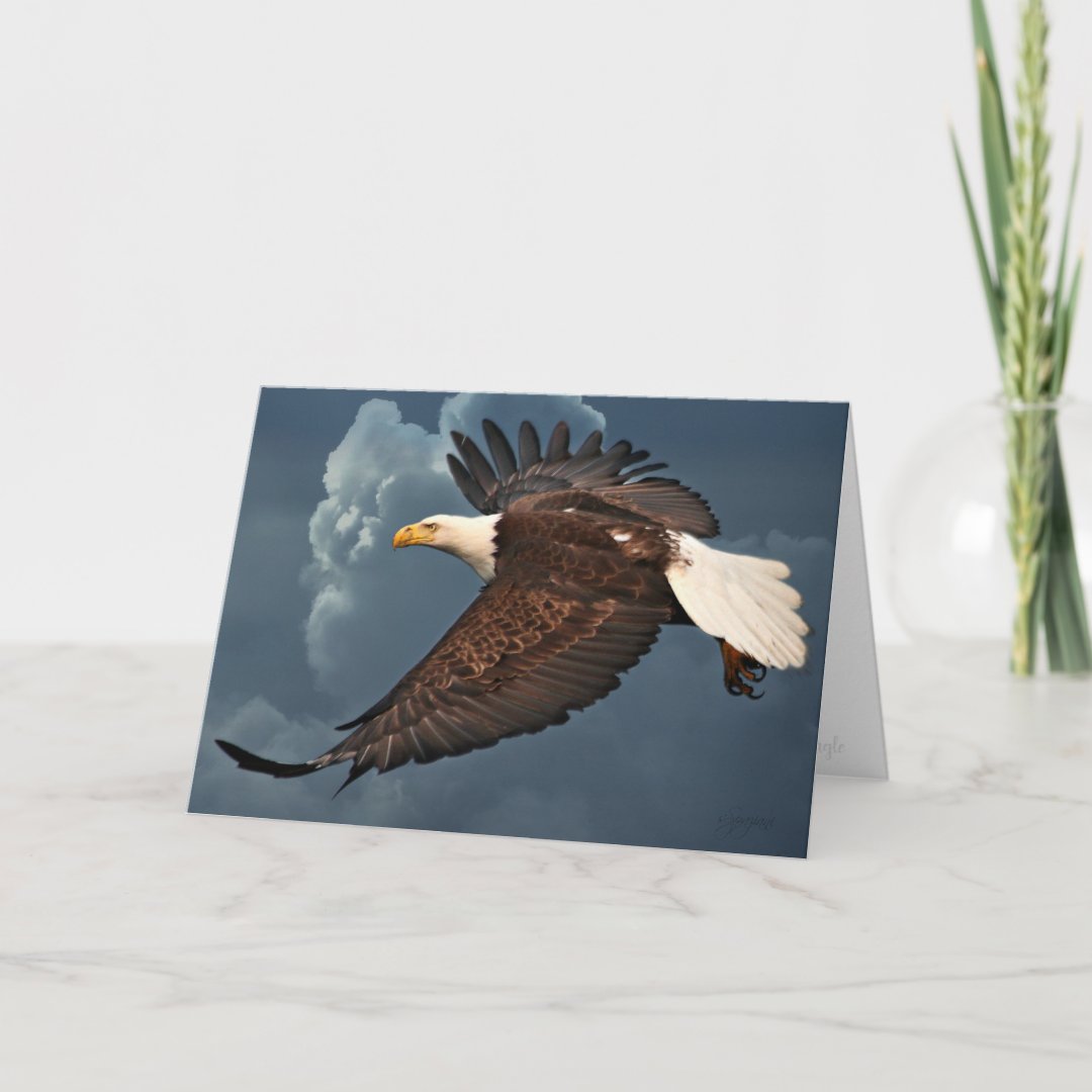 Bald Eagle card with inspirational quote | Zazzle
