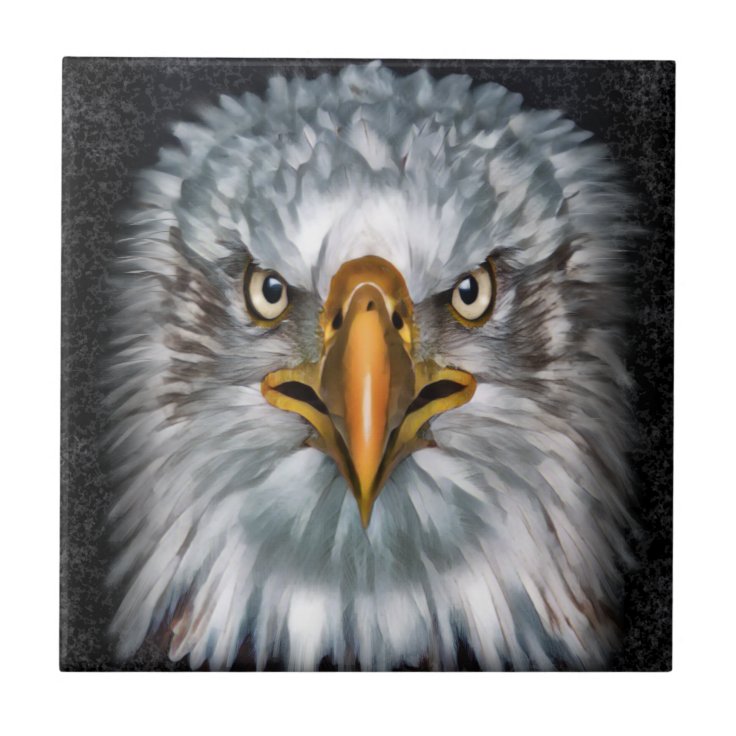 Bald Eagle Ceramic Tile | Zazzle
