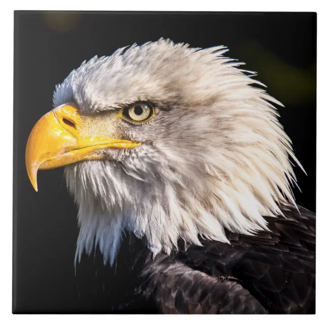 Bald Eagle Ceramic Tile | Zazzle