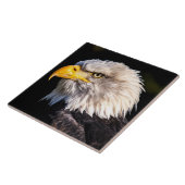 Bald Eagle Ceramic Tile | Zazzle