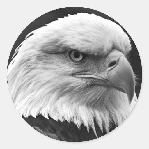 Bald Eagle Classic Round Sticker | Zazzle