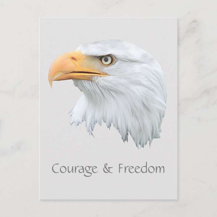 Bald Eagle Courage & Freedom customizable Postcard | Zazzle.com
