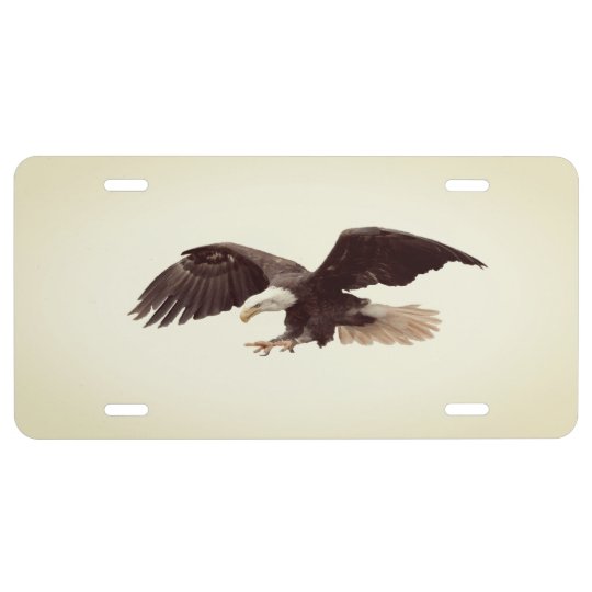 Bald Eagle Flying License Plate | Zazzle.com