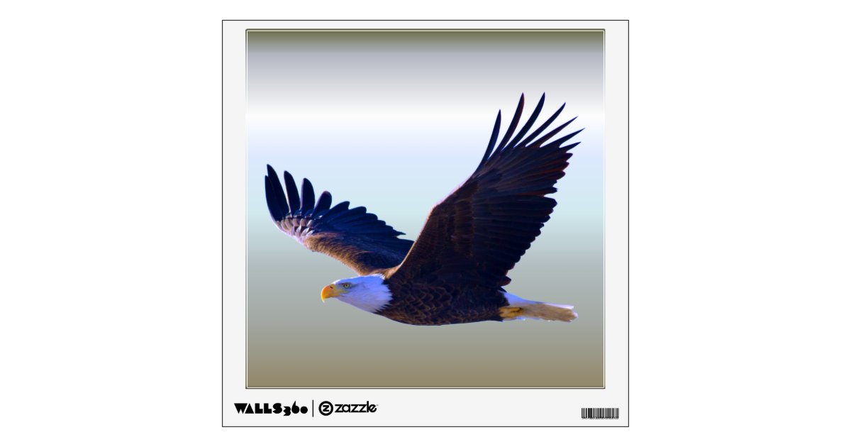 Bald Eagle Flying Wall Decal | Zazzle