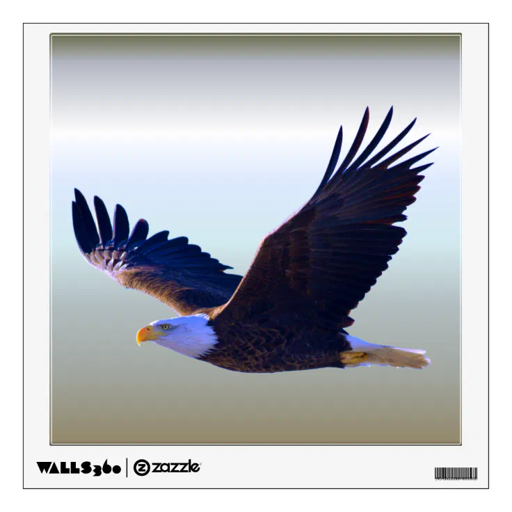 Bald Eagle Flying Wall Decal | Zazzle