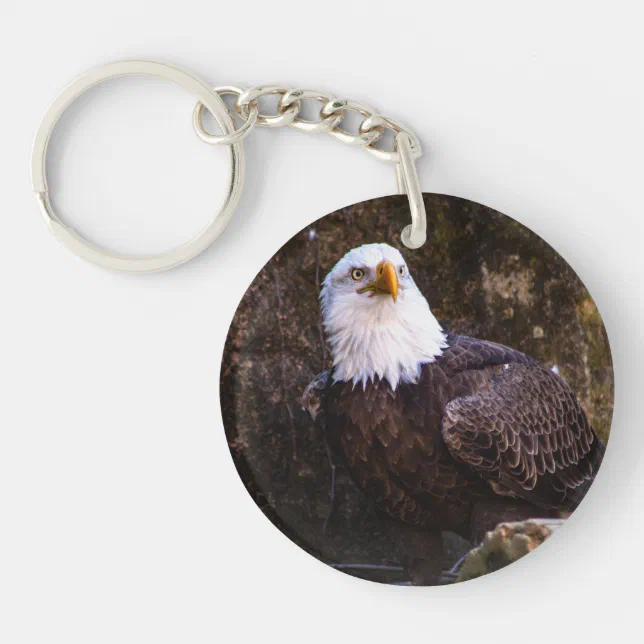 Bald Eagle Keychain | Zazzle