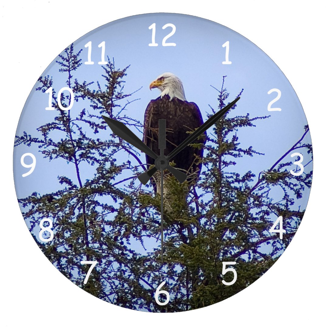Bald Eagle Large Clock | Zazzle