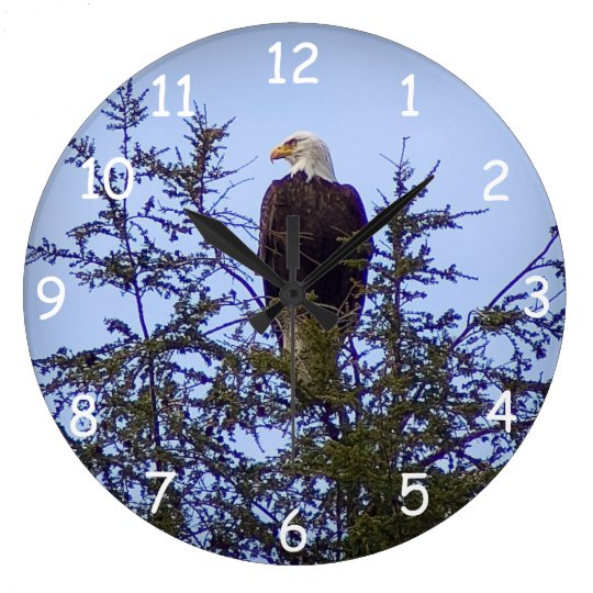 Bald Eagle Large Clock | Zazzle.com