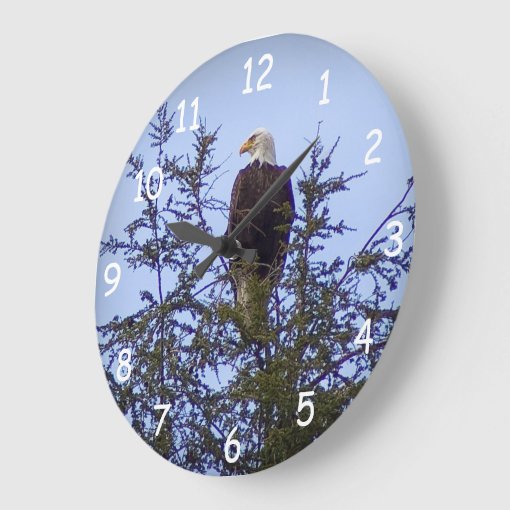 Bald Eagle Large Clock | Zazzle