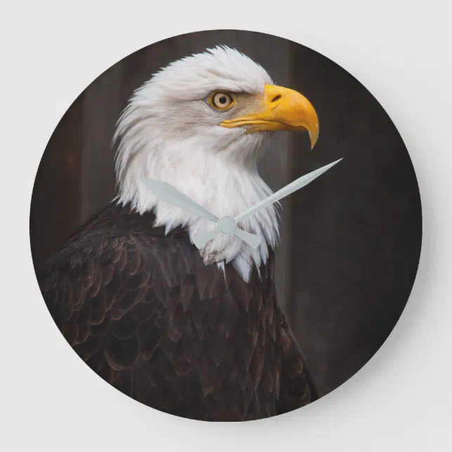 bald eagle large clock | Zazzle