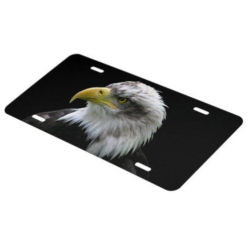 Bald Eagle License Plate | Zazzle