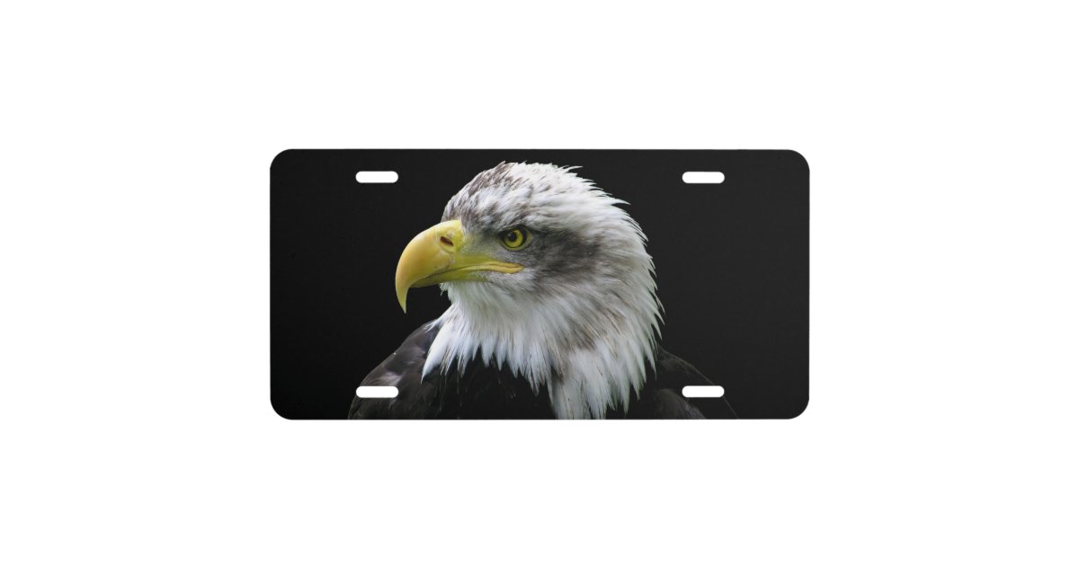 Bald Eagle License Plate | Zazzle