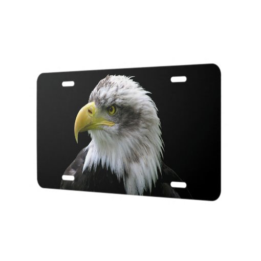 Bald Eagle License Plate | Zazzle