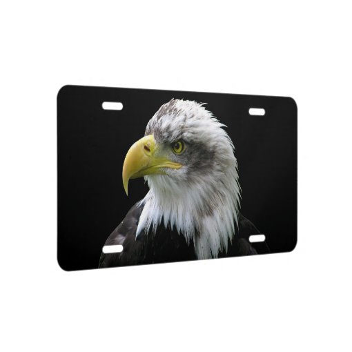 Bald Eagle License Plate | Zazzle