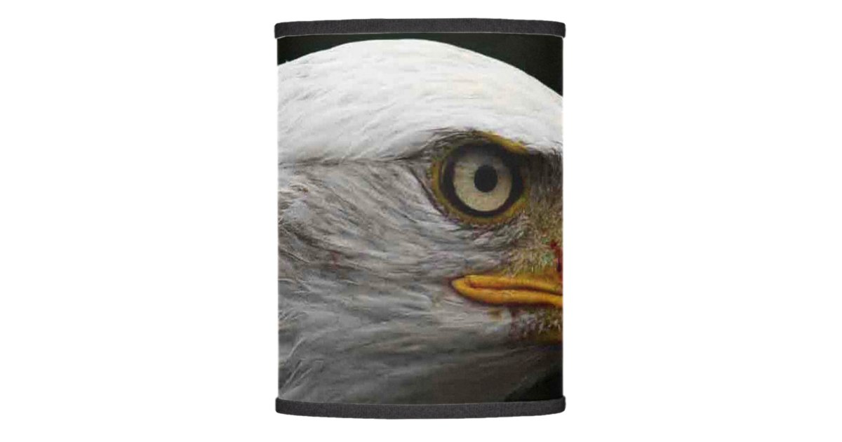 Bald Eagle lsa Lamp Shade | Zazzle