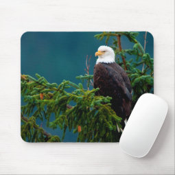 Bald Eagle Mouse Pad | Zazzle