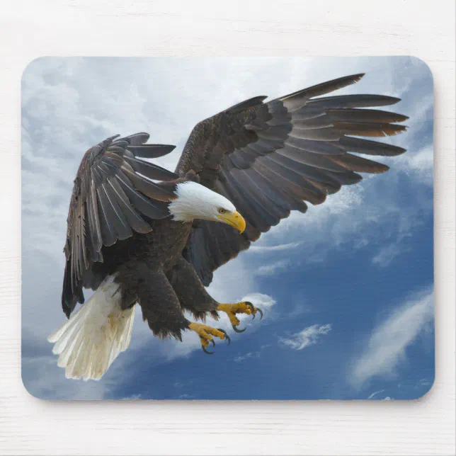 Bald eagle mouse pad | Zazzle