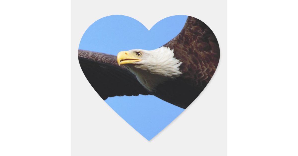 Bald Eagle Portrait Heart Sticker | Zazzle