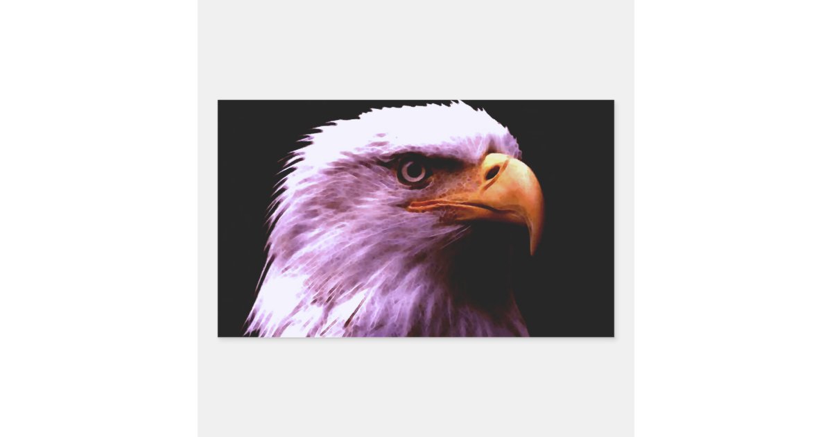 Bald Eagle Rectangular Sticker | Zazzle