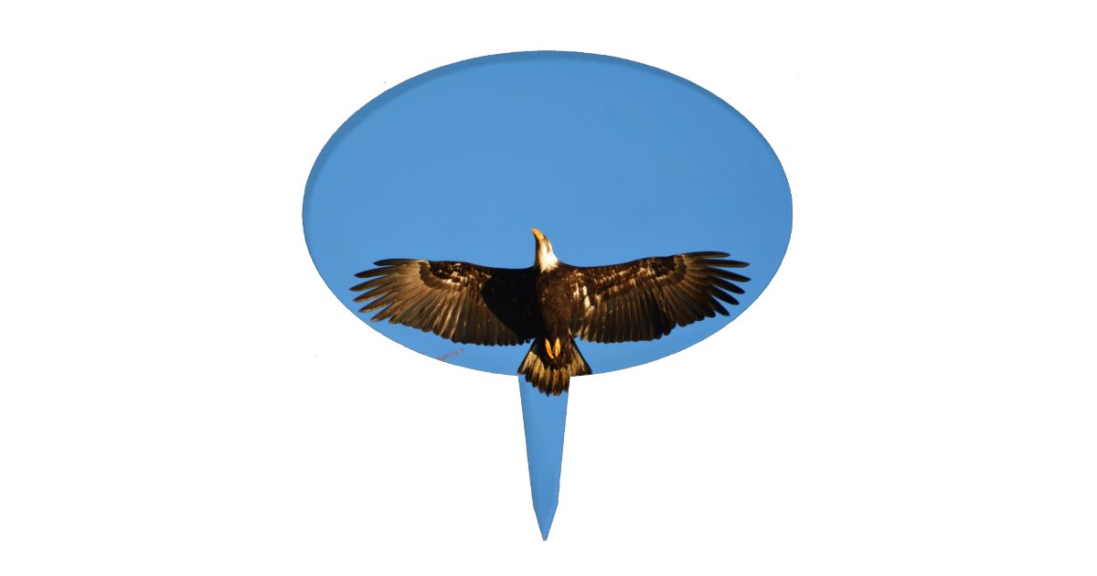 Bald Eagle Soaring1 Cake Topper | Zazzle