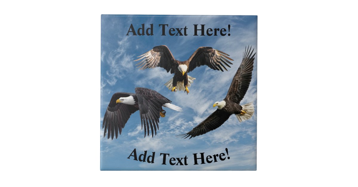 Bald Eagle Soaring Ceramic Tile | Zazzle