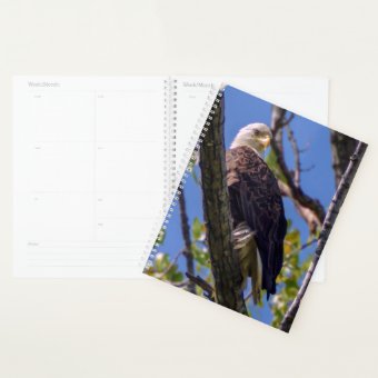 Bald Eagle Spiral Weekly/Monthly Planner | Zazzle
