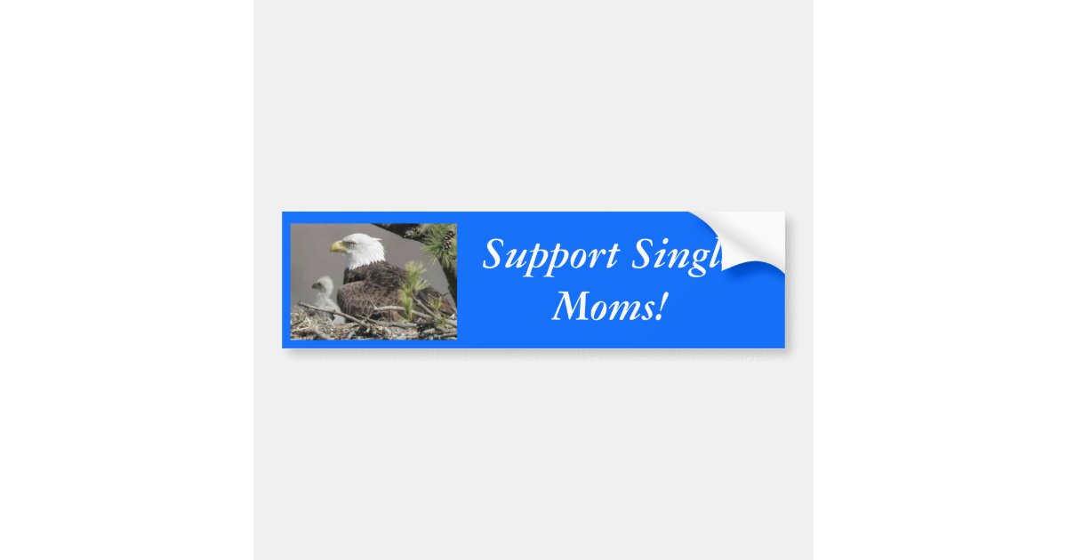 Bald Eagle Support Single Moms! Bumper Sticker | Zazzle