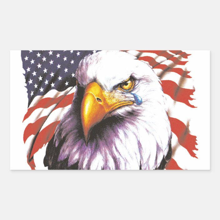 Bald Eagle With A Tear - USA Flag In Background Rectangular Sticker | Zazzle.com