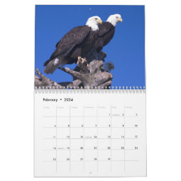 Bald Eagles Calendar | Zazzle