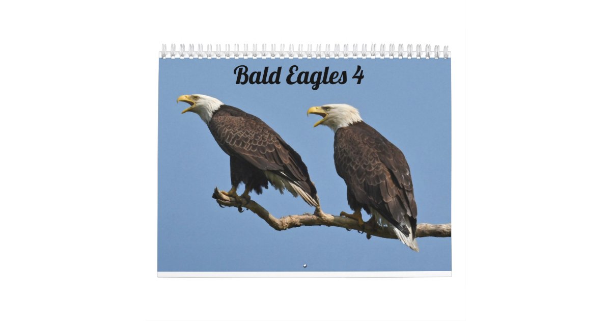 Bald Eagles $ Calendar | Zazzle