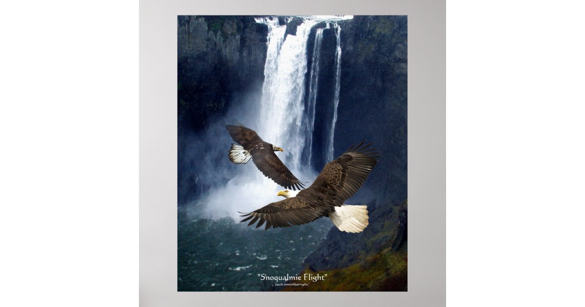 Bald Eagles & Waterfall Wildlife Art Poster | Zazzle