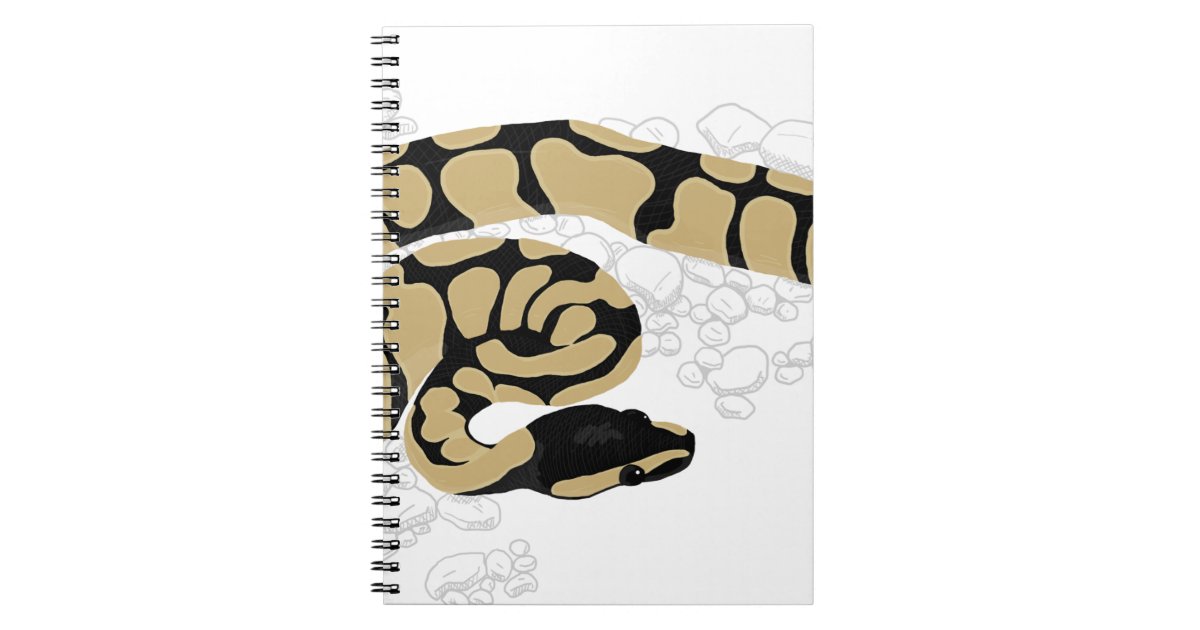 Ball Python Snake Notebook | Zazzle