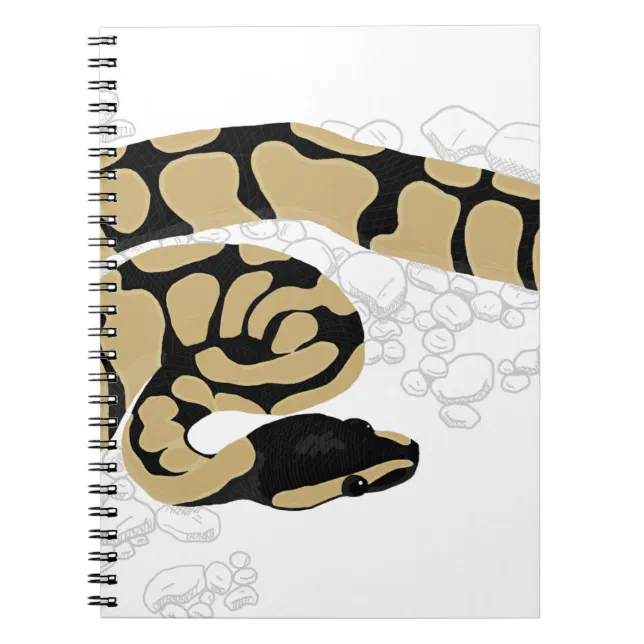 Ball Python Snake Notebook | Zazzle