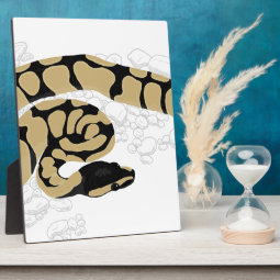 Ball Python Snake Plaque | Zazzle