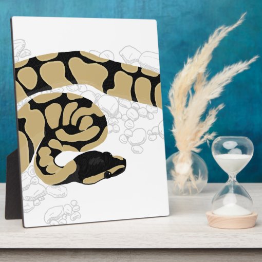Ball Python Snake Plaque | Zazzle
