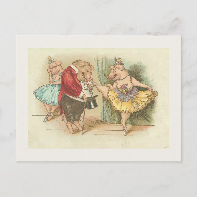 Ballet Pig Postcard | Zazzle