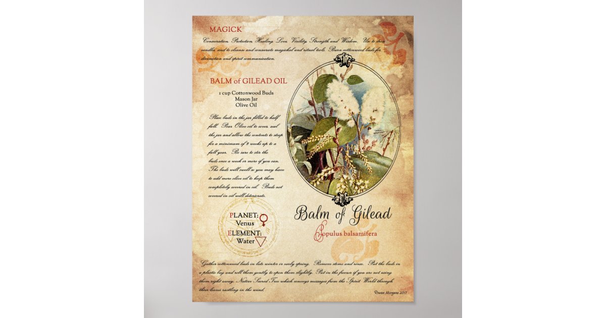 BALM of GILEAD Poster | Zazzle