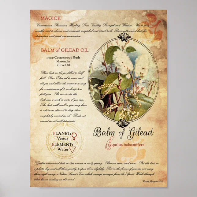 BALM of GILEAD Poster | Zazzle