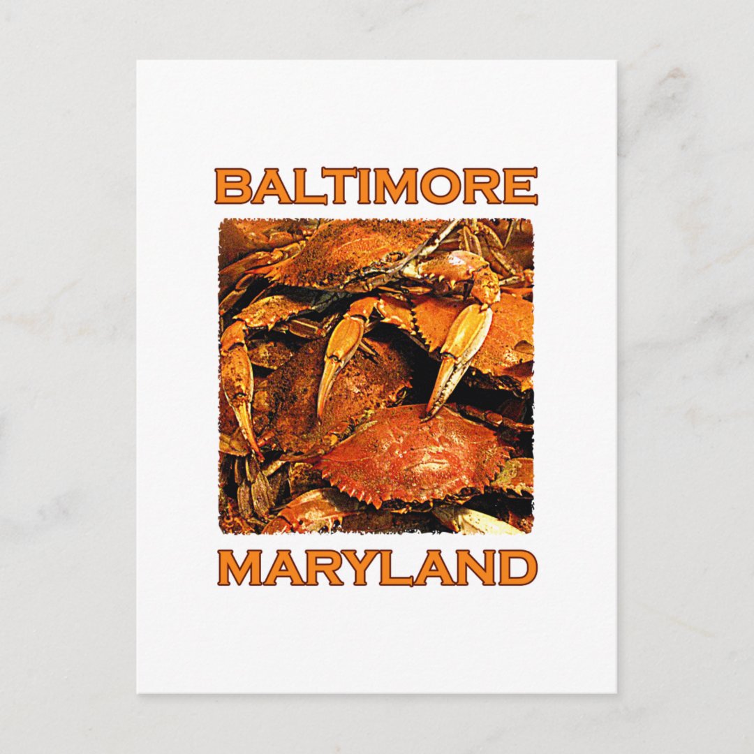Baltimore Maryland Steamed Crabs Logo Postcard | Zazzle