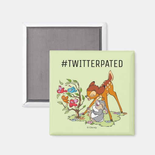 Bambi & Thumper Laughing At Birds Magnet | Zazzle