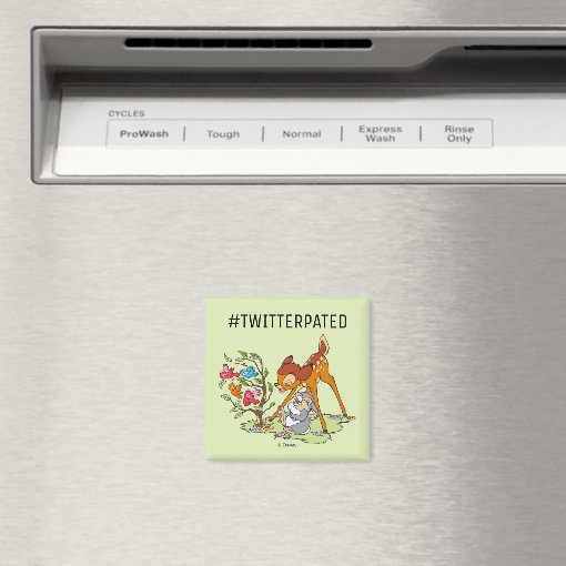 Bambi & Thumper Laughing At Birds Magnet | Zazzle