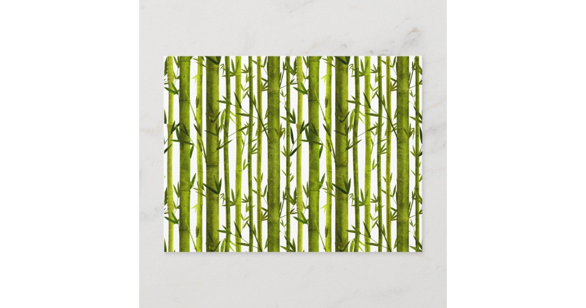 Bamboo Lessons Postcard | Zazzle