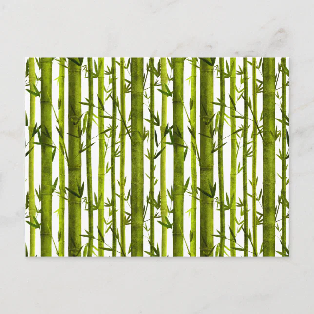 Bamboo Lessons Postcard | Zazzle