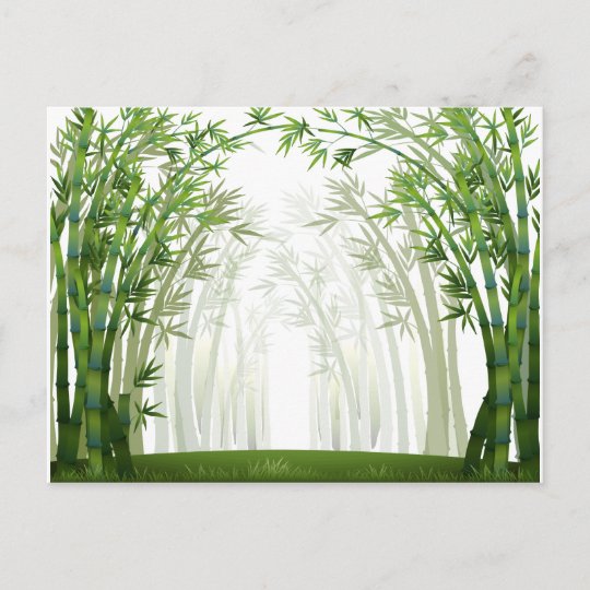 Bamboo Postcard | Zazzle.com