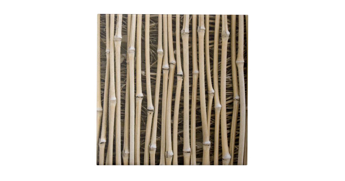 Bamboo Texture Tile | Zazzle